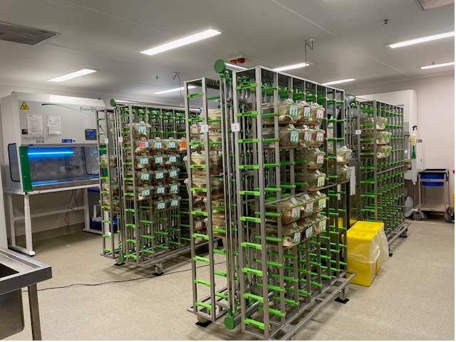 BR-AIBN | Rodents - Biological Resources - University of Queensland